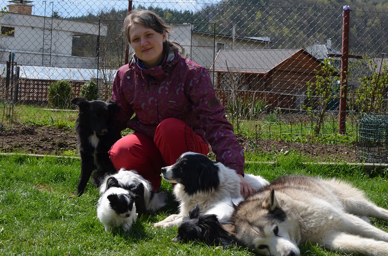 Chovateľská stanica psíkov papillonov, šteniatka na predaj | Belle Paw